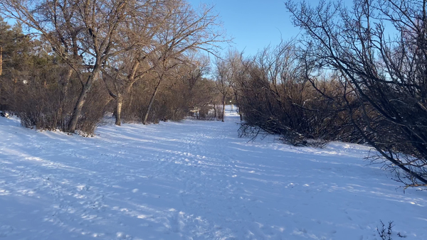 Progression and 57 Achievements Added to my Indie Game! | Roguesphere Devlog #27